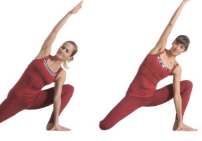 Anatomy Trains in Motion ⋆ Yoga Online