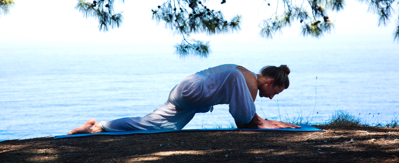 Lizard - yogahouding ⋆ Yoga Online