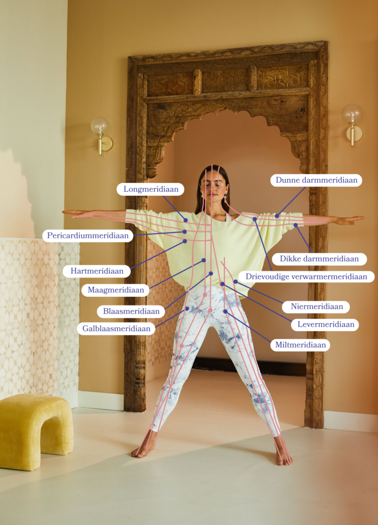 Meridianen in het lichaam: betekenis, functie en balans