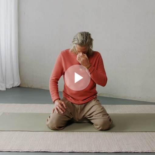 Yoga by Happinez: online yoga en meditaties